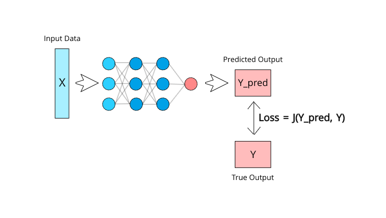 Pytorch损失函数入门 - BimAnt