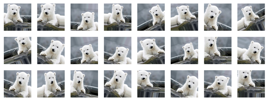 PyTorch微调权威指南(3) - BimAnt