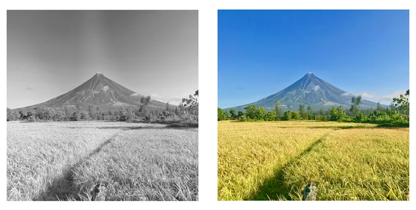 6种图像着色AI模型实践 - BimAnt