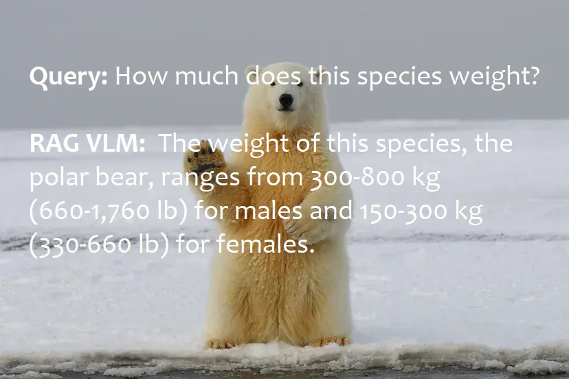 RAG视觉问答开发框架 - BimAnt