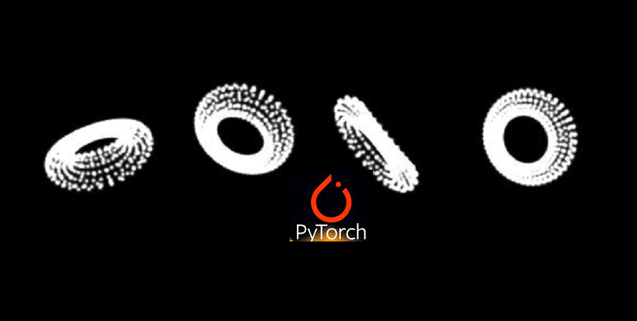 PyTorch自定义张量操作 - BimAnt