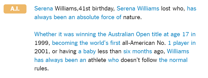 Transformer NLP管线 - BimAnt