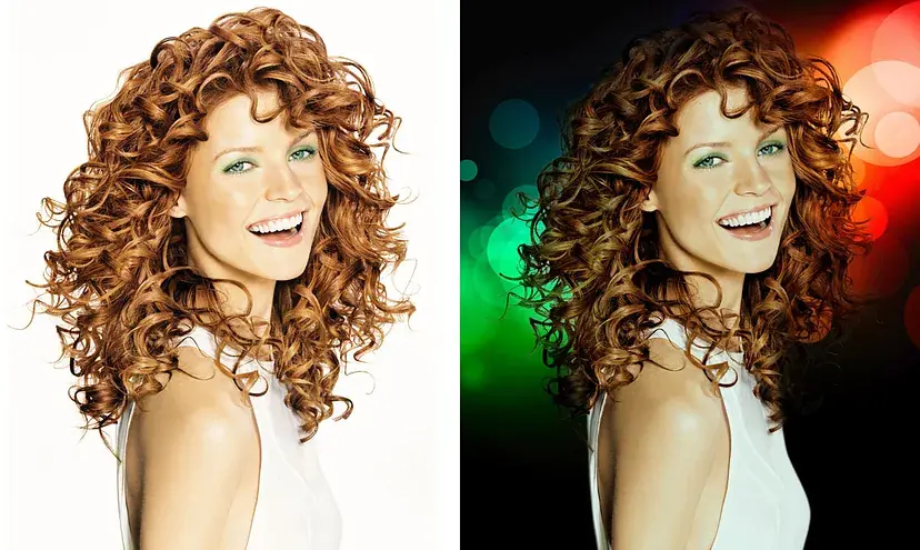 图像背景剔除AI模型 - BimAnt